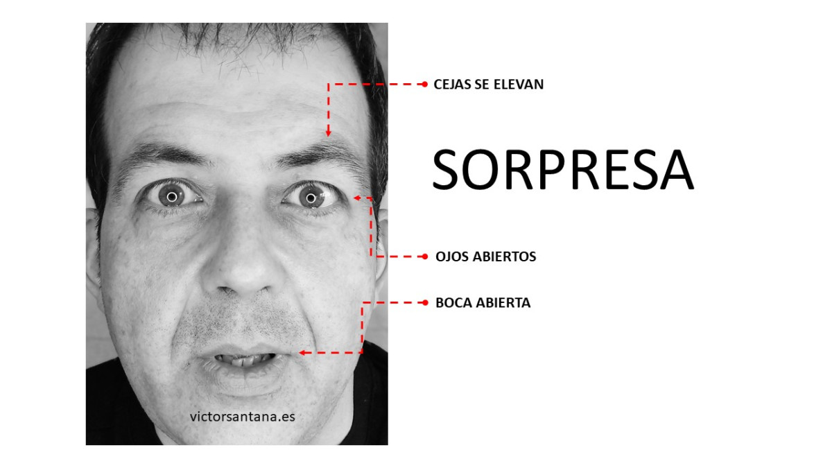 EMOCIONES PRIMARIAS Y MICROEXPRESIONES FACIALES | Víctor Santana
