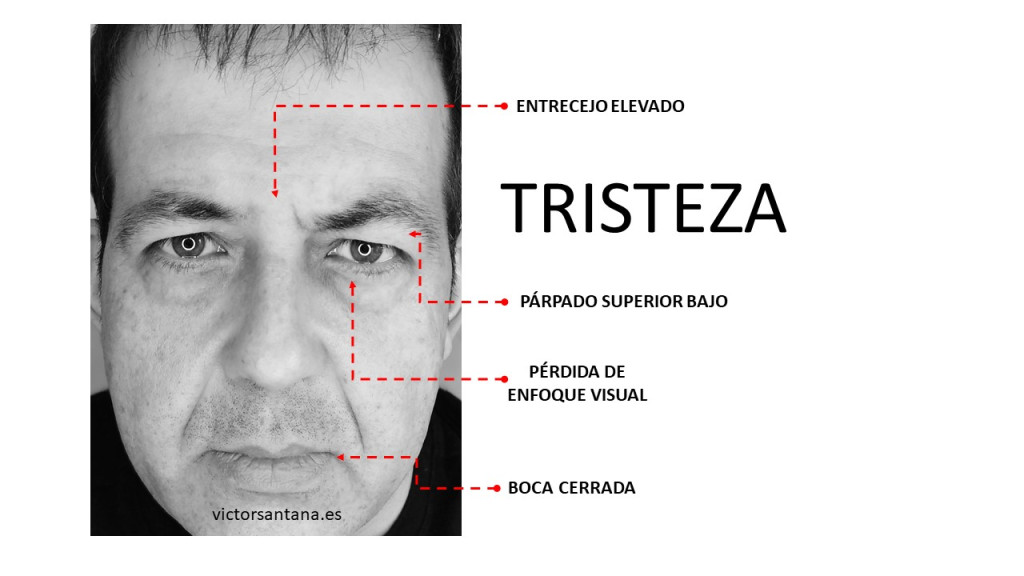 Emociones Primarias Y Microexpresiones Faciales Víctor Santana